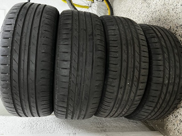 Nokian gume 205 55 16
