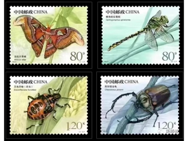 2022 insekti KINA