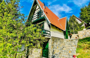Kuća 100m2, sa dvorištem, Kopaonik