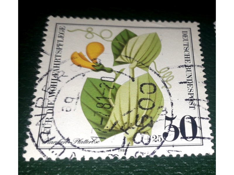 DB 1981 flora