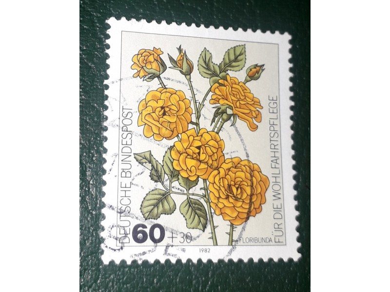 DB 1982 - flora