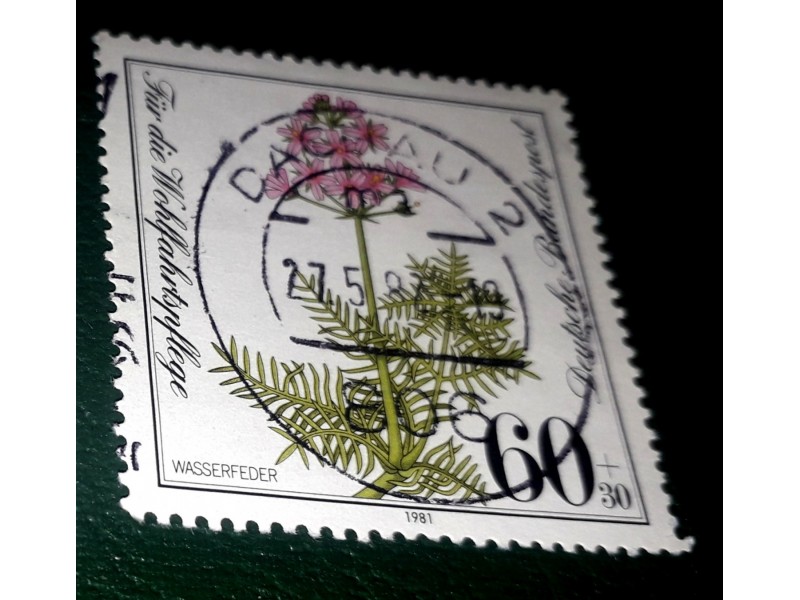 DB 1981 flora