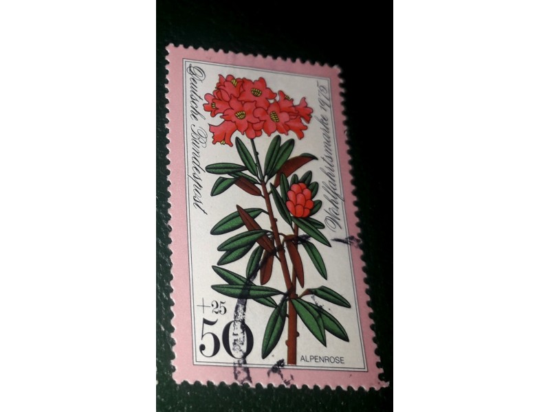 DB 1975 flora