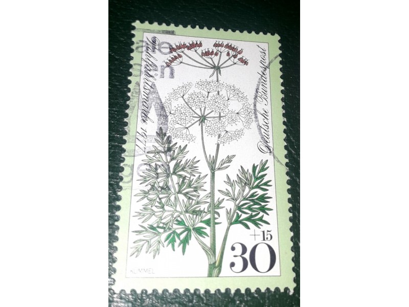 DB 1977 flora