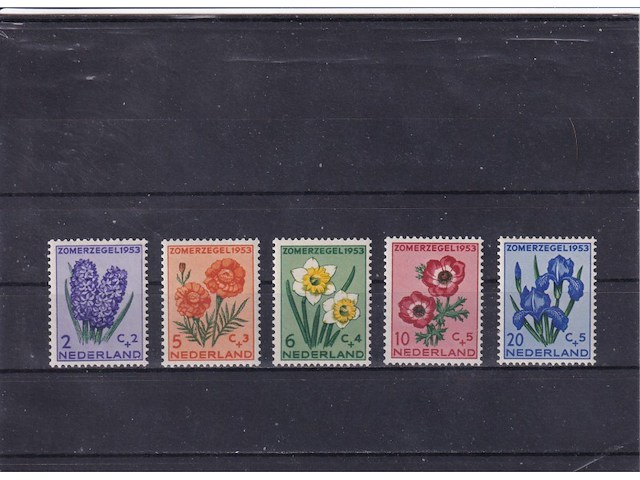 Holandija 1953 Mi. 30 eura
