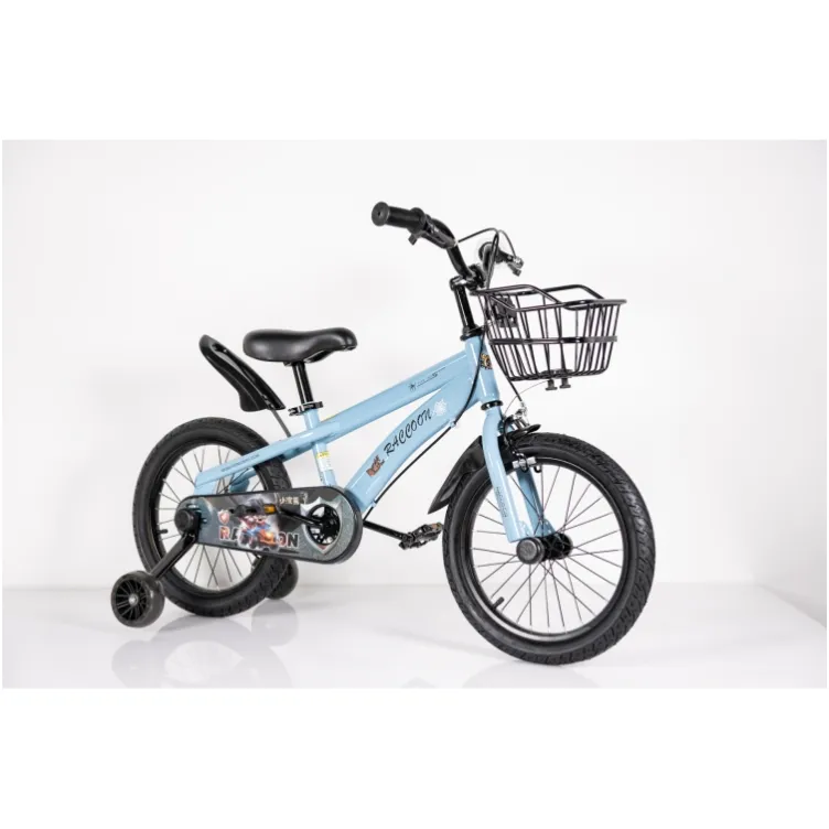 BIC.16 RACCOON BLUE