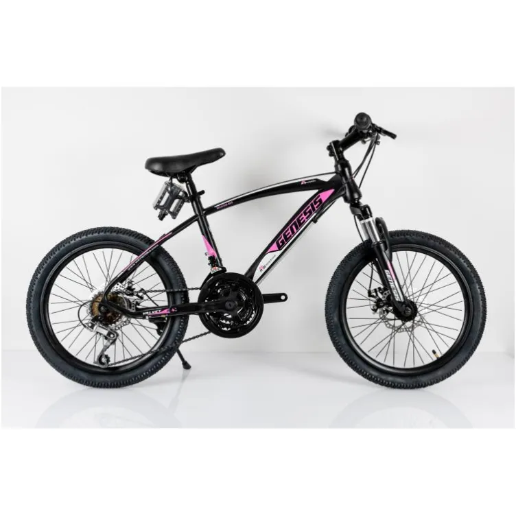 BIC.20"/6 SUS GENESIS VALVET