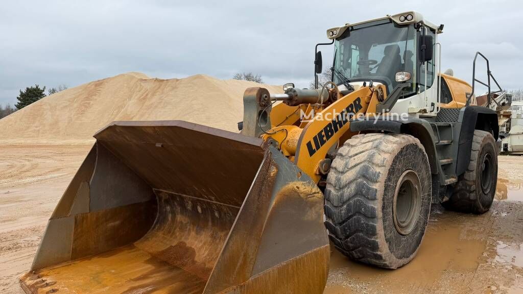 Liebherr L 576 XPower (12005835) prednji utovarivač