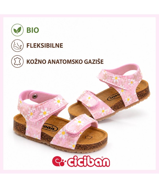 CICIBAN BIO - DAISY (30-35)