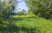 Pinosava, deljiv na više parcela