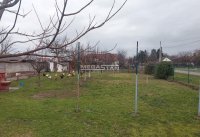 Boljevci, plac u zoni gradnje