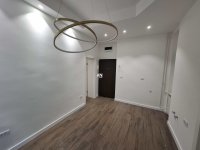 Palilula, Tašmajdan, Dalmatinska, 34m2 ID#35792
