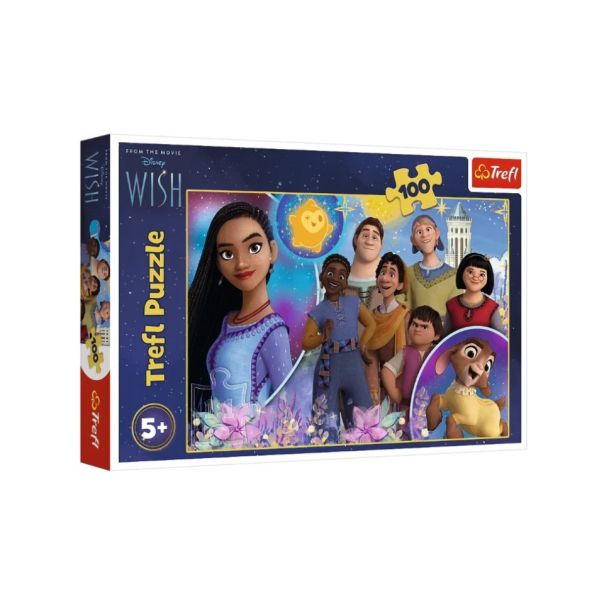 PUZZLE 100 wish