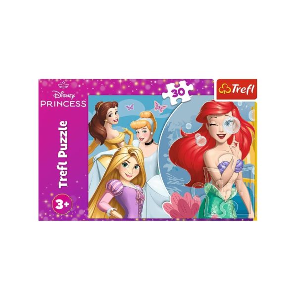 Puzzle 30 princes