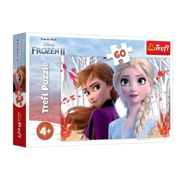 PUZZLE 60 frozen