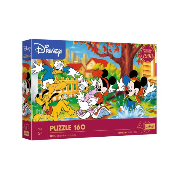 Puzzle 160 miki