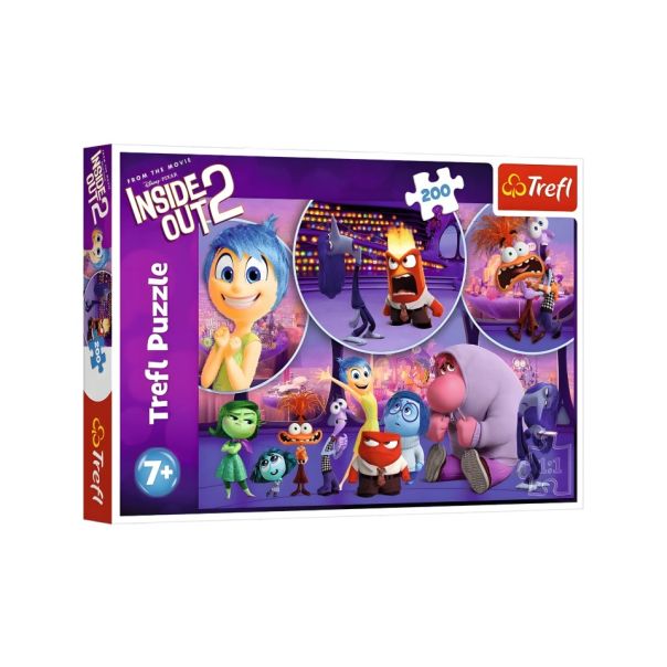 Puzzle 200 inside 2 out