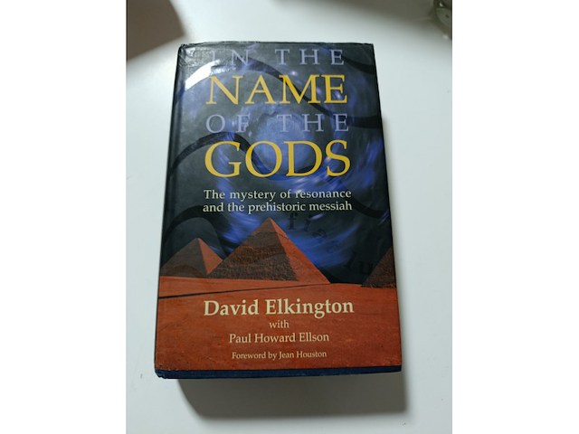 In the Name of the Gods - David Elkington