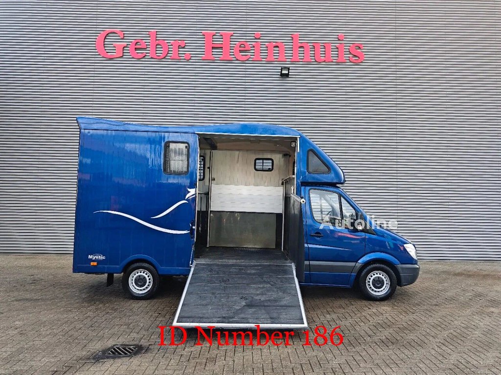 Mercedes-Benz Sprinter 319 CDI KHG Mystic 2 Horsetruck vozilo za prevoz konja