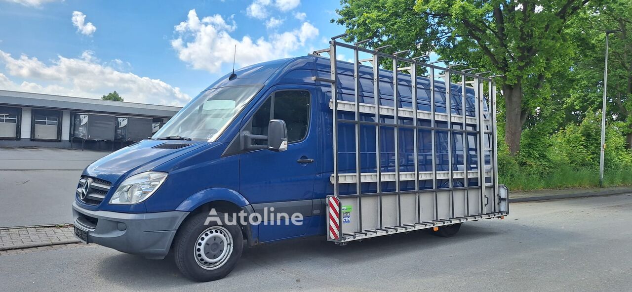 Mercedes-Benz Sprinter 313 mit Glashaterung minibus furgon
