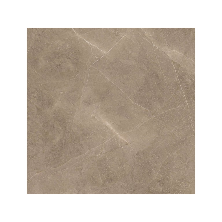 PP ELEGANT taupe 60*60