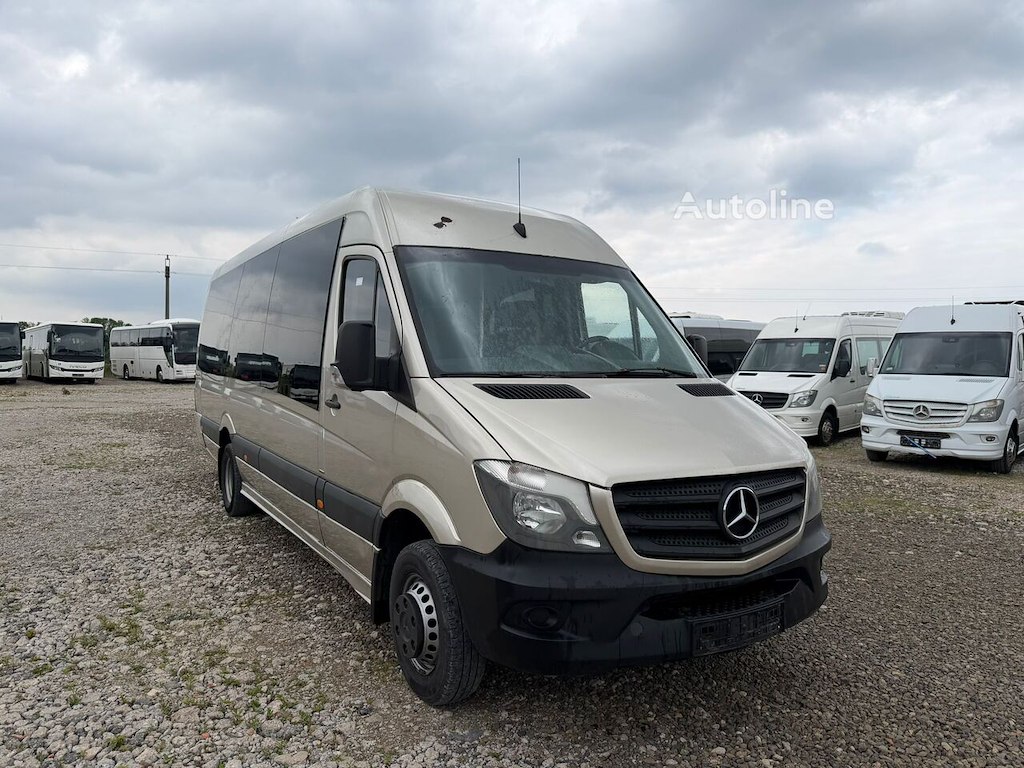 Mercedes-Benz Sprinter 519 putnički minibus