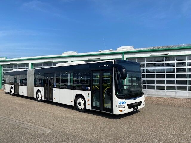 MAN A23 EZ zglobni autobus