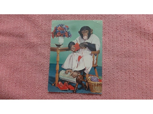 ŽIVOTINJE