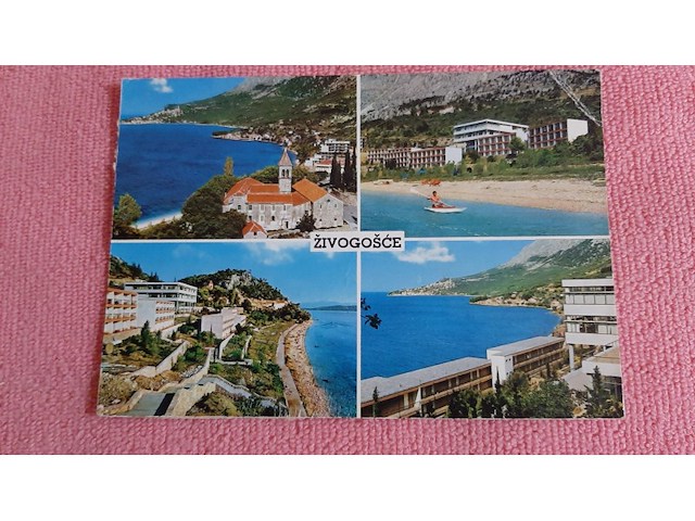 ŽIVOGOŠĆE