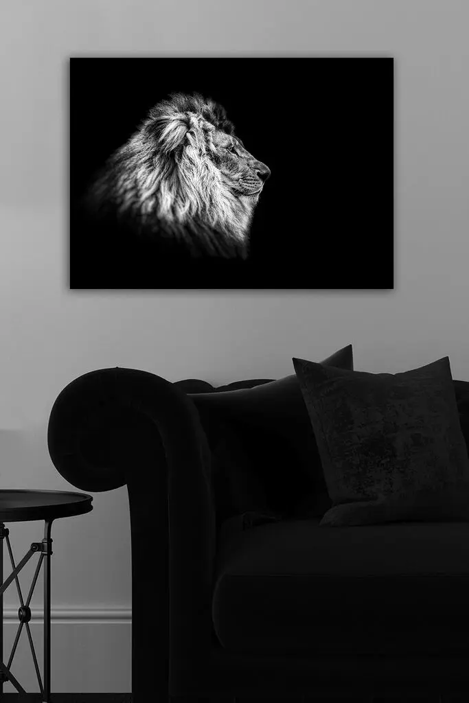 Wallity Slika na platnu 50x70cm