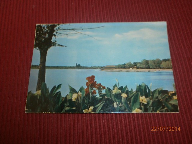 PALIĆ