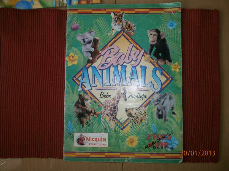 ALBUM BABY ANIMALS