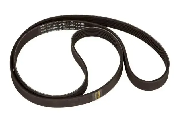 MASSEY FERGUSON
BELT - 4281725M1