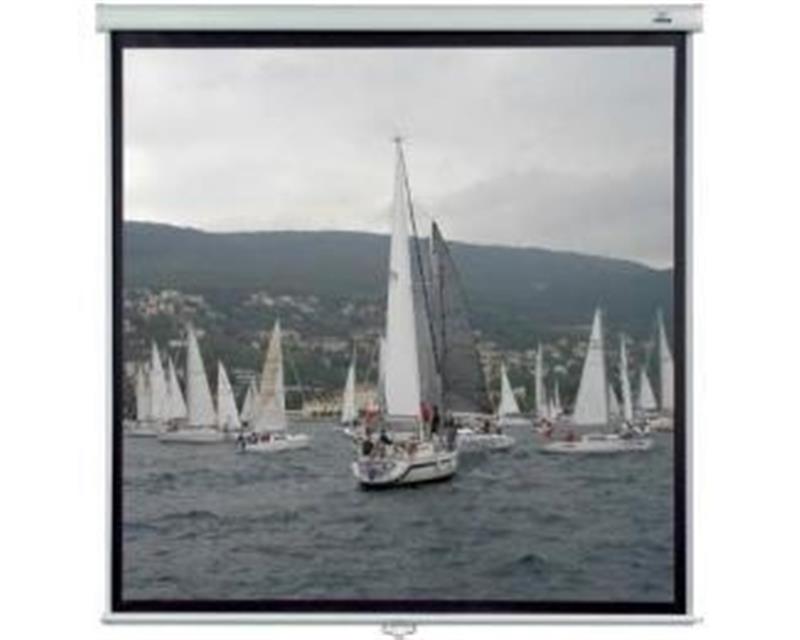 WS S 240 platno