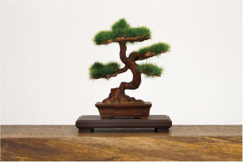 NEW! PLATZ ABON-04 Bonsai Part 4