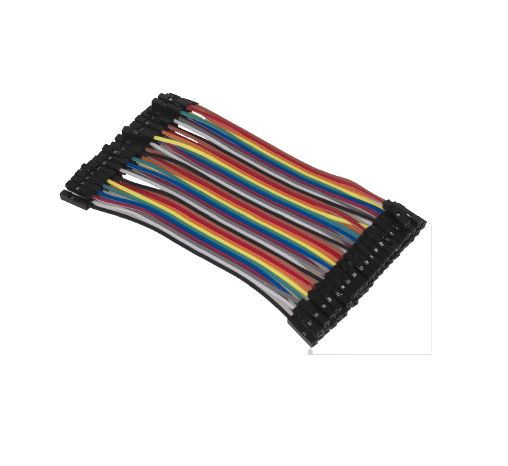 Kabl, 40 x 1 Pin, ženski na ženski, Dupont/CG konektor, 10cm dužine
