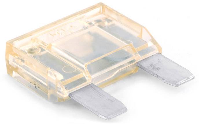 Tru Components 8551248 maki pljosnati osigurac 80 A sivi