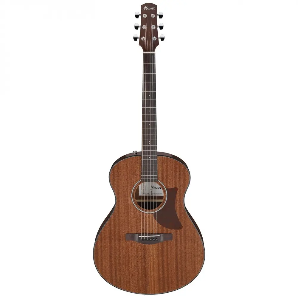 Ibanez Akustična gitara AAM54-OPN, Open Pore Natural