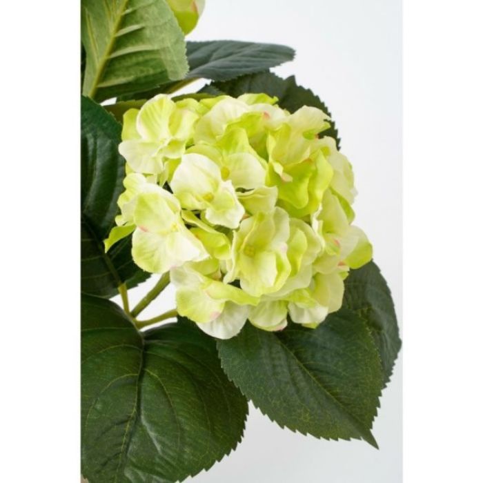Hortenzija zelena veštačka u saksiji h40xd35cm dsy 8