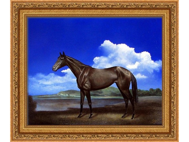 Liza, ulje 51x39 cm