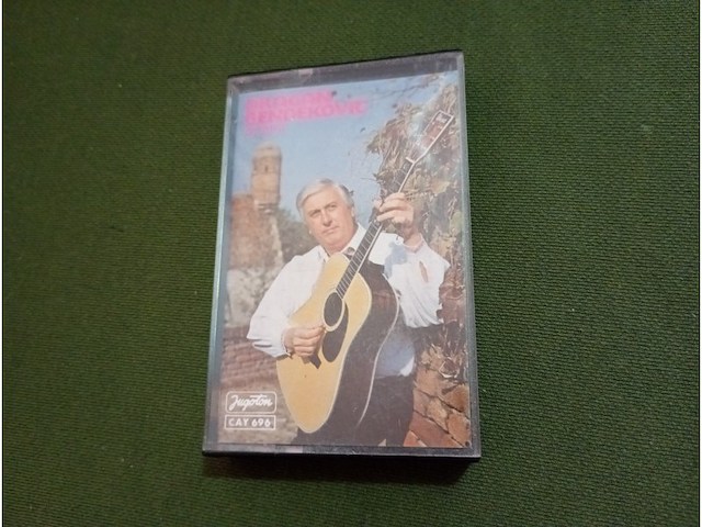 Dragan Bendeković - Gitara