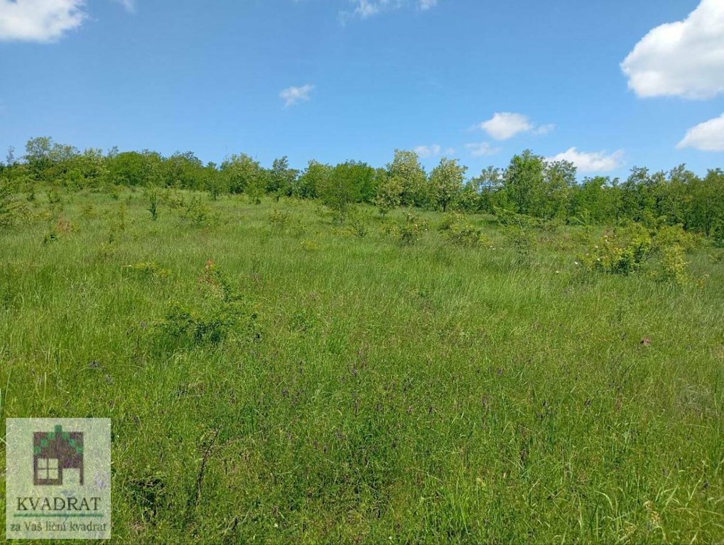 Plac, Beograd - Jasenak | Prodaja · 20.000€