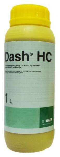 DASH 1/1