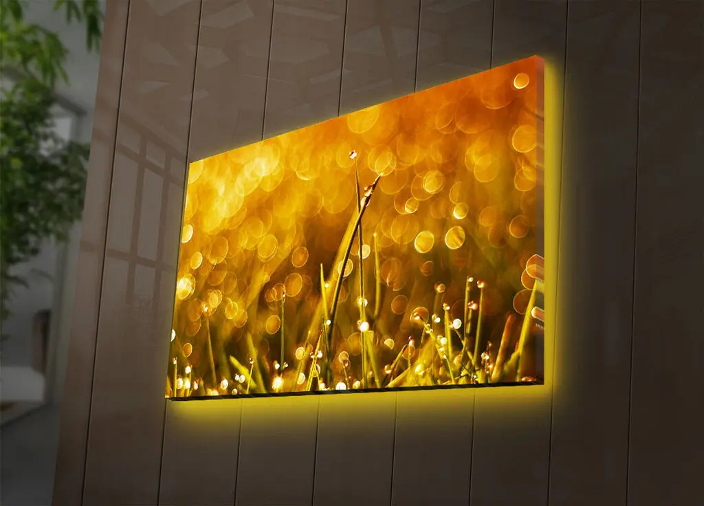 Wallity Slika sa LED osvetljenjem 4570DACT-66, 45x70 cm