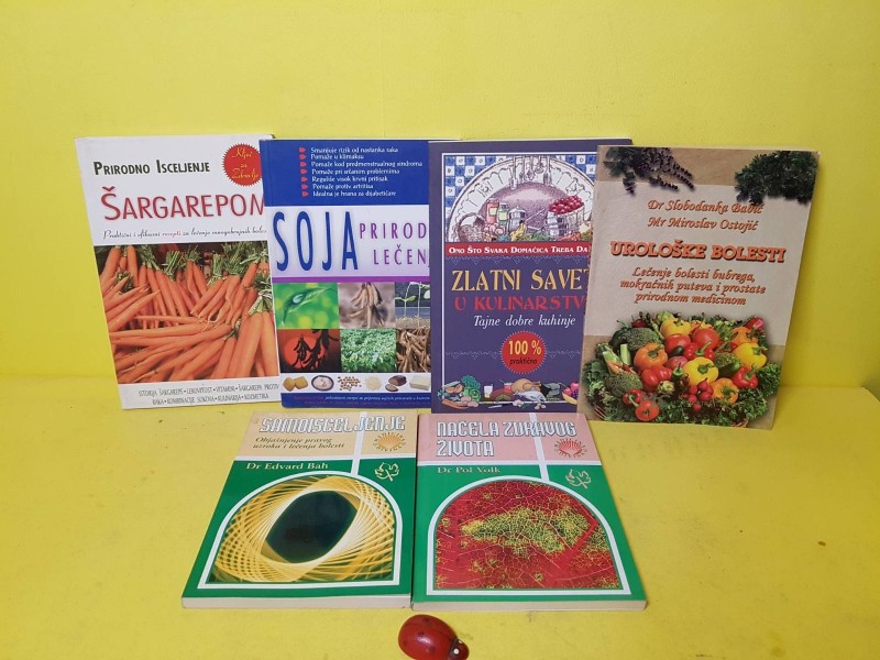 LOT 6 KNJIGA ZDRAVA ISHRANA ZDRAV ŽIVOT PRIRODNO LEČENJ