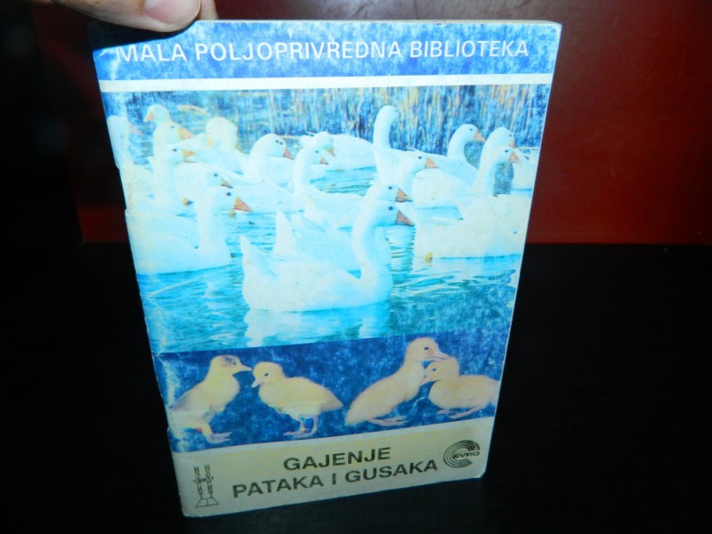 Gajenje pataka i gusaka