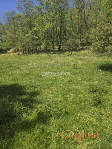 Idiličan plac sa šumom, Mali Požarevac