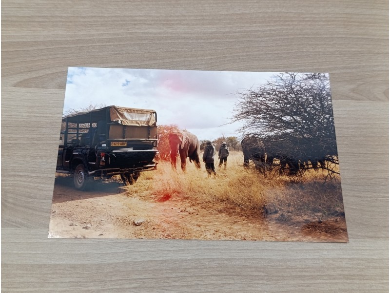 Fotografija Slonovi