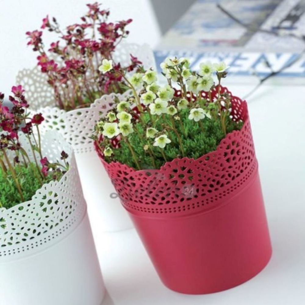 Saksija čipka lace okrugla fi 14cm ciklama
