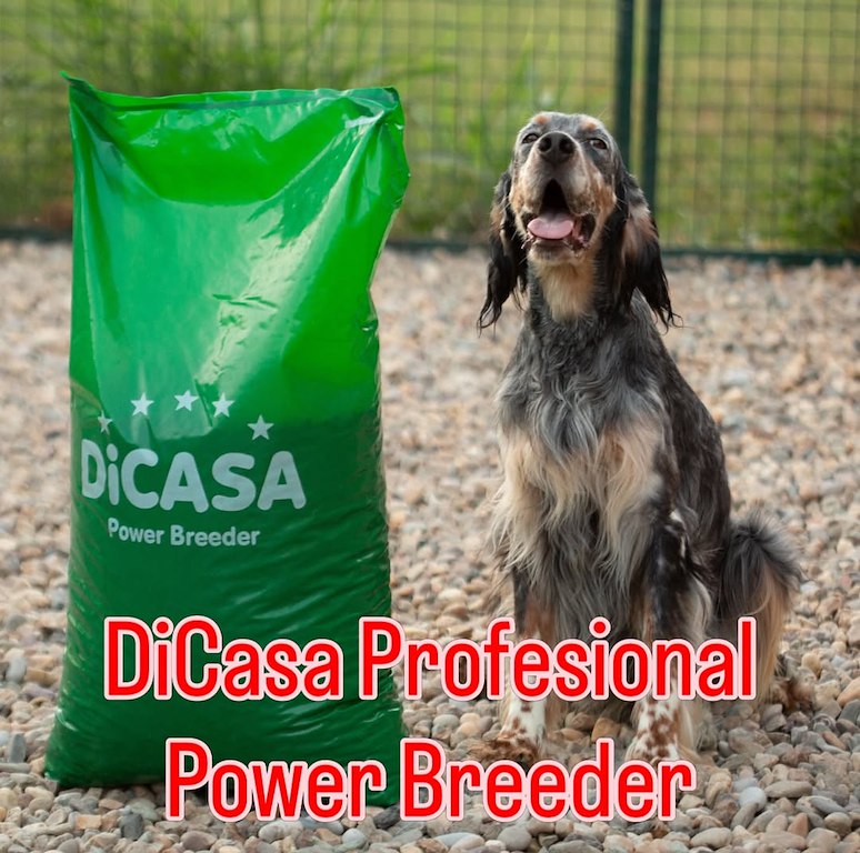 DiCasa Hrana za pse PowerBreeder Energy